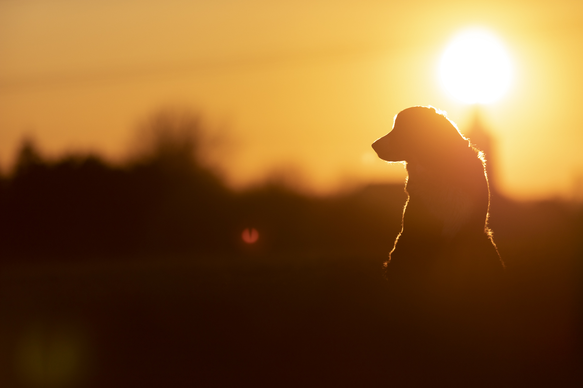 Séance photo - Léonard M Photography